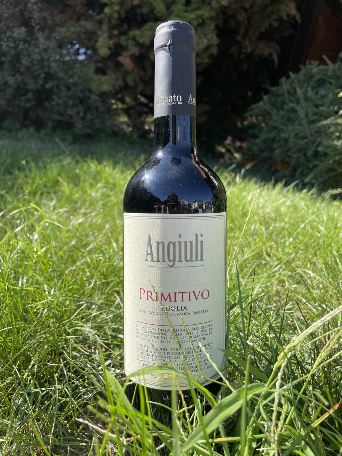 La quille du dimanche : Le Primitivo, IGT Puglia par Donato Angiuli ...